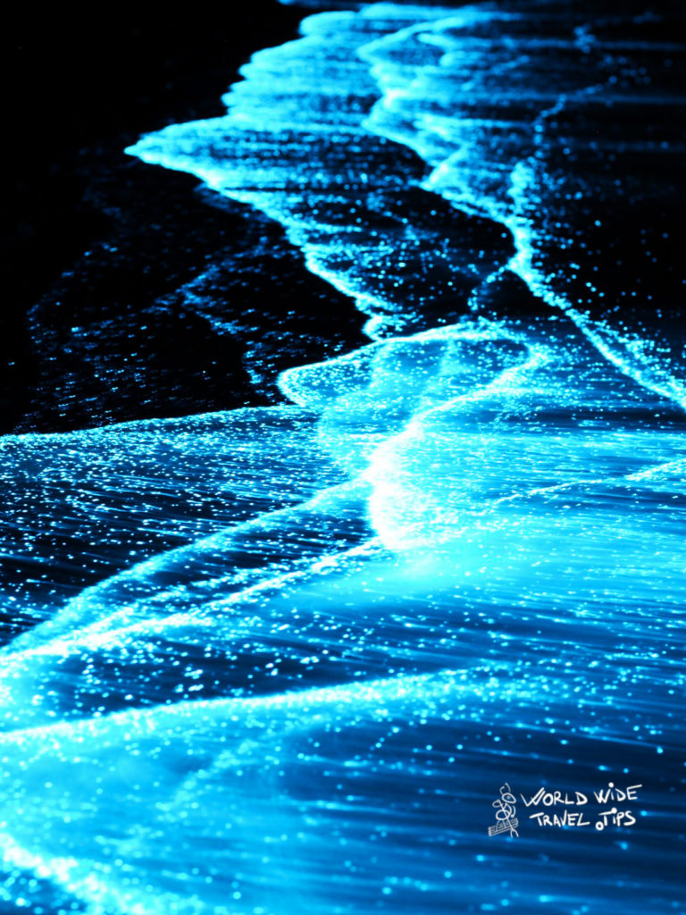 Sea of stars Maldives: all you need to know about it