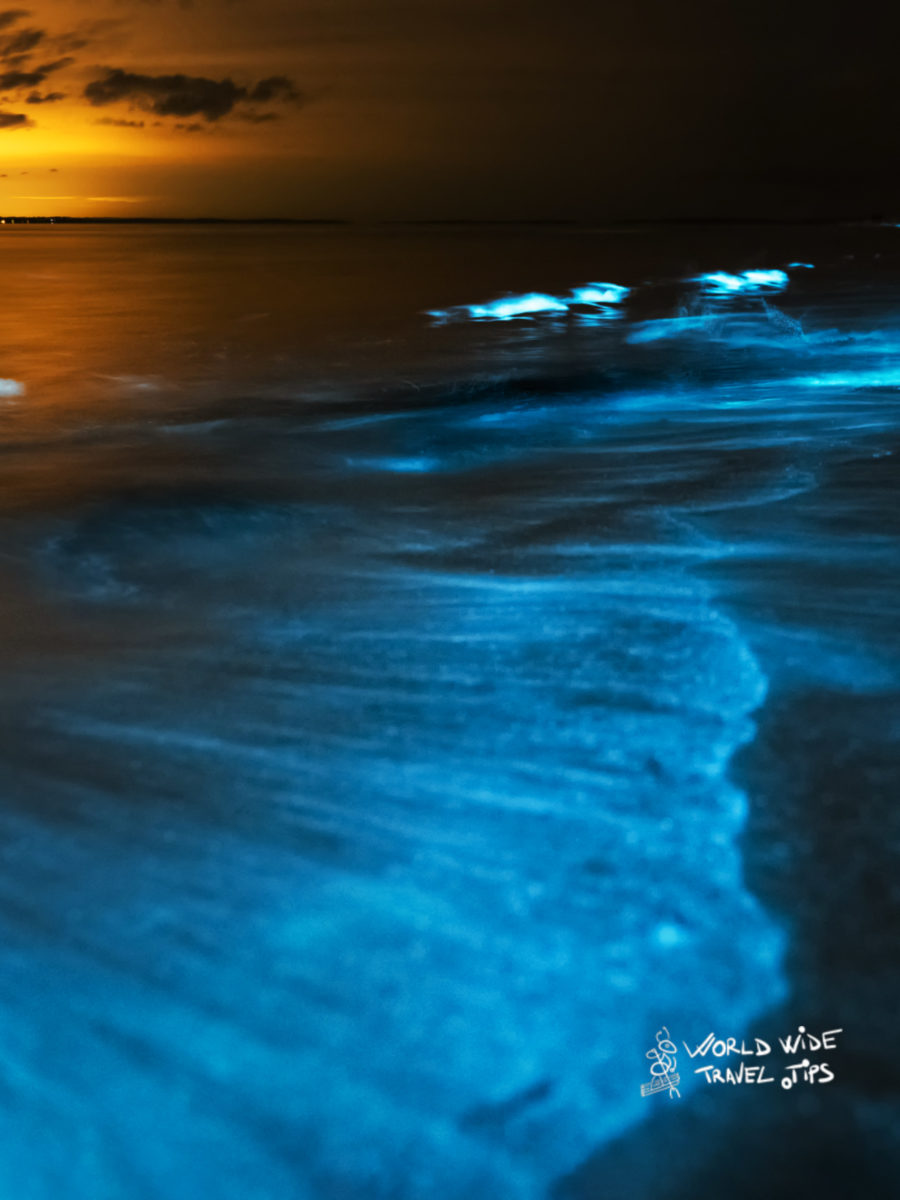 Sea of stars Maldives: all you need to know about it